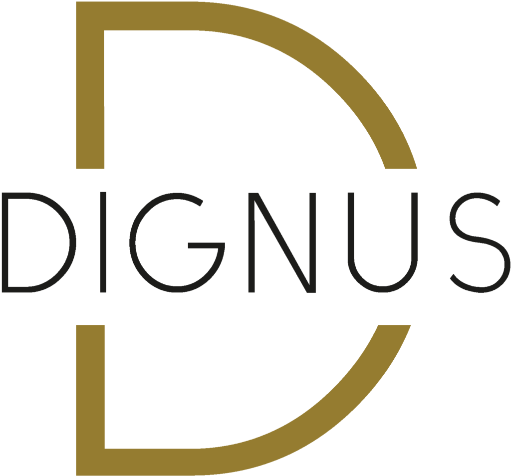 Vorqualifizerung Finanzierung - Dignus